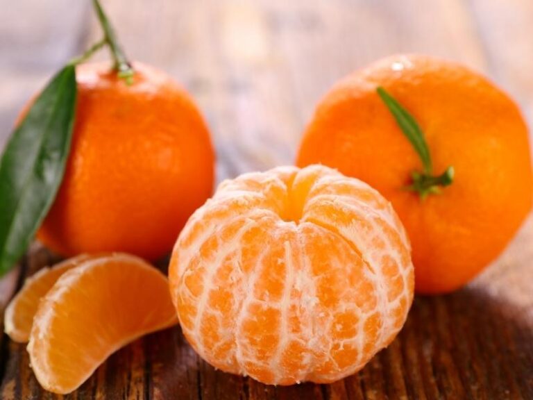 20 Different Types of Oranges to Try - Insanely Good