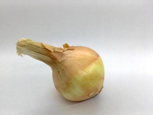 20 Types of Onions and How to Use Them - Insanely Good