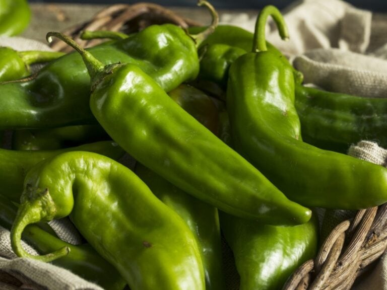 25 Different Types of Peppers and How to Use Them - Insanely Good