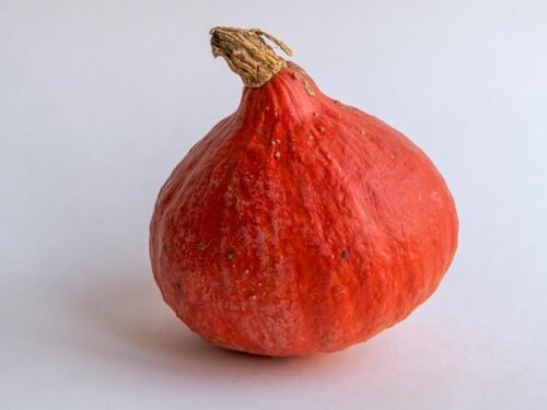 25 Types of Squash That Go Beyond Butternut - Insanely Good