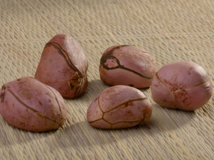 20 Types of Nuts (Different Varieties) - Insanely Good