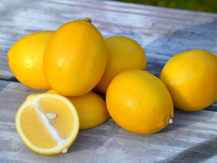 30 Different Types of Lemons to Try - Insanely Good