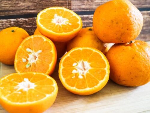 20 Different Types of Oranges to Try - Insanely Good