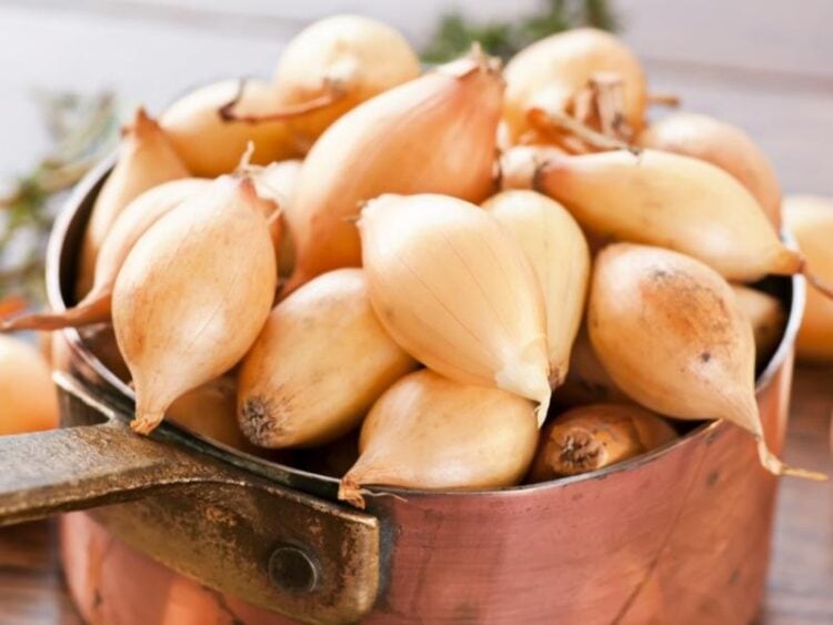 20 Types of Onions and How to Use Them - Insanely Good