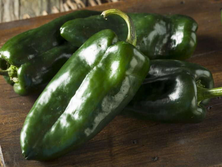 25 Different Types of Peppers and How to Use Them - Insanely Good