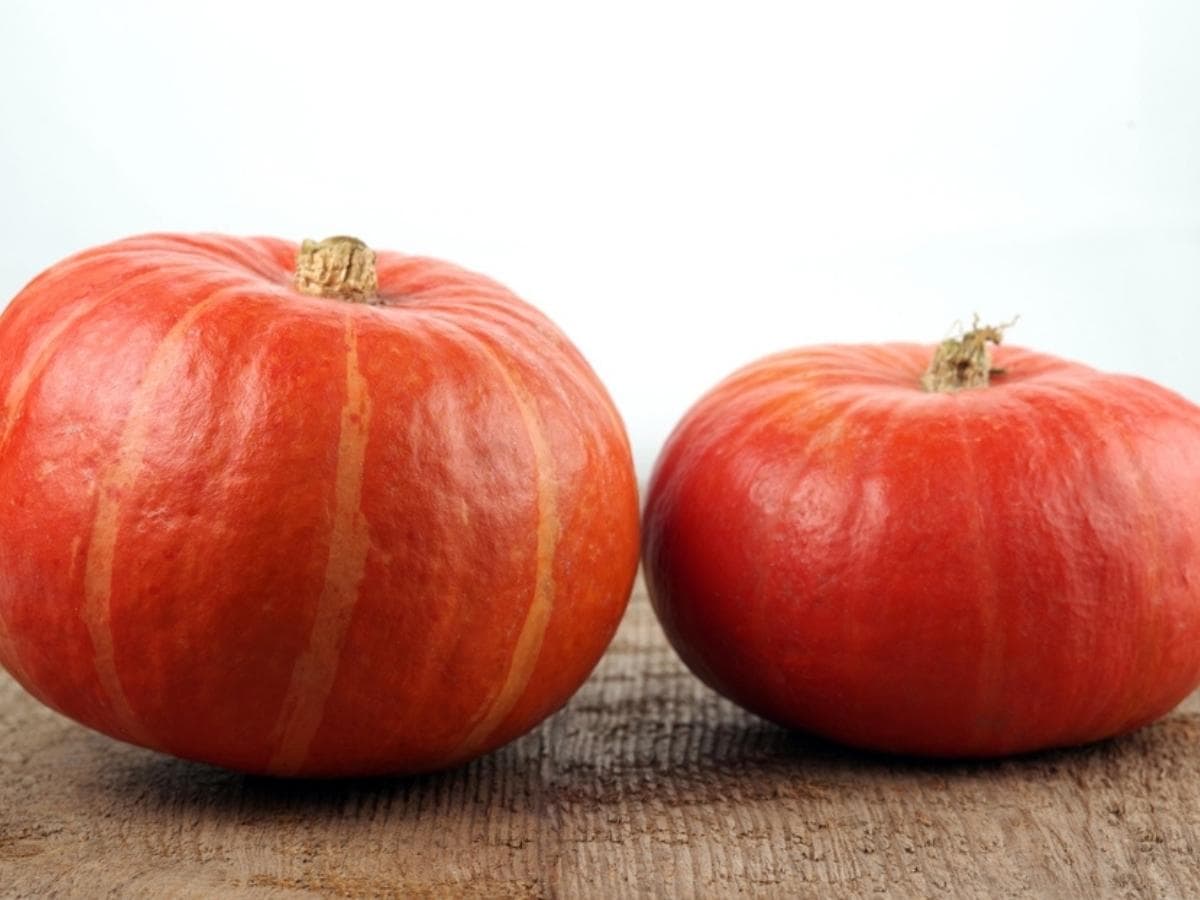 25 Types of Squash That Go Beyond Butternut - Insanely Good