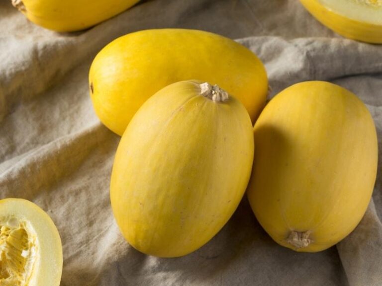 25 Types of Squash That Go Beyond Butternut - Insanely Good