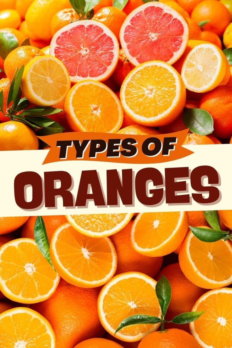 20 Different Types of Oranges to Try - Insanely Good