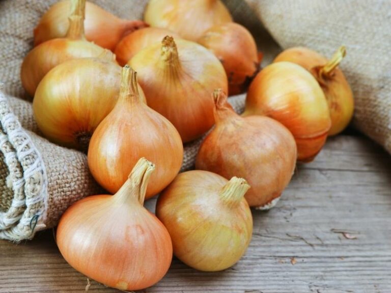 20 Types of Onions and How to Use Them - Insanely Good