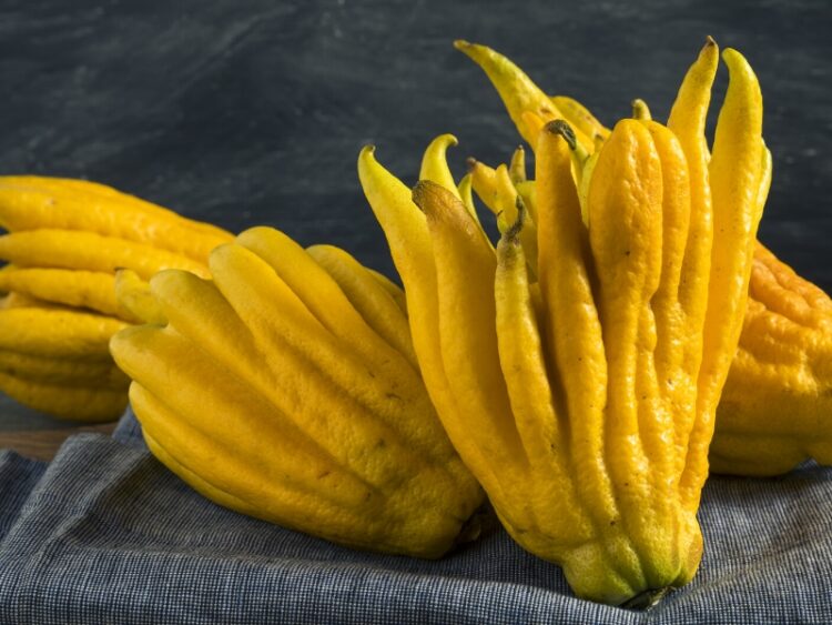 27 Yellow Fruits (Different Types) - Insanely Good