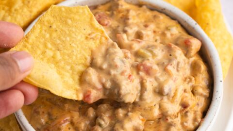 25 Best Rotel Recipes (Easy Ideas) - Insanely Good