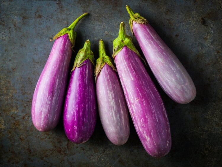 10 Types of Eggplant (Different Varieties) - Insanely Good