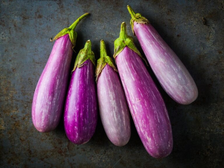 10 Types of Eggplant (Different Varieties) - Insanely Good