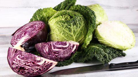 14 Types of Cabbage (Different Varieties) - Insanely Good