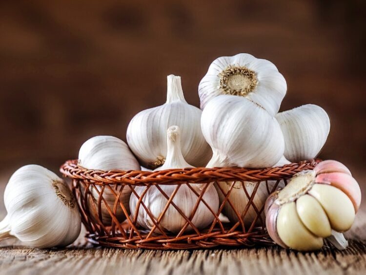 10 Best White Vegetables to Add to Your Diet - Insanely Good