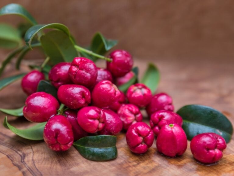 25 Pink Fruits (Different Types) - Insanely Good