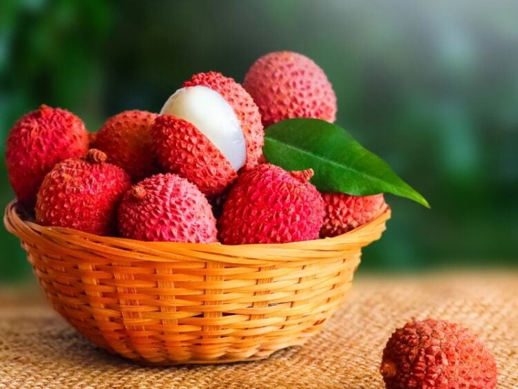 25 Pink Fruits (Different Types) - Insanely Good