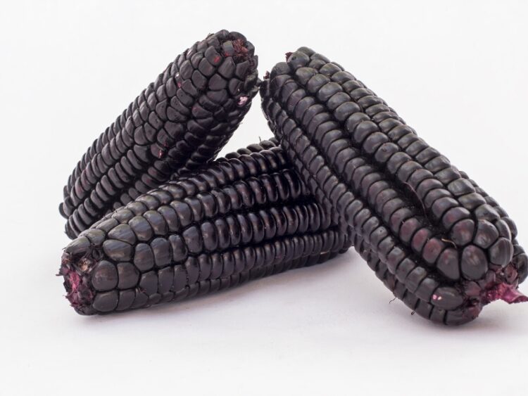 23 Pretty Purple Vegetables to Try - Insanely Good