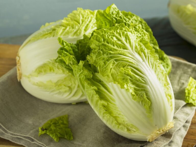14 Types of Cabbage (Different Varieties) - Insanely Good