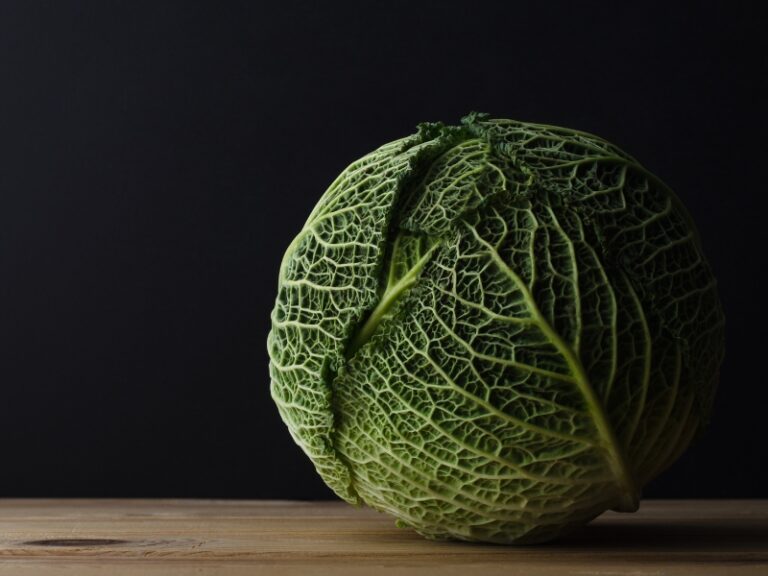 14 Types of Cabbage (Different Varieties) - Insanely Good