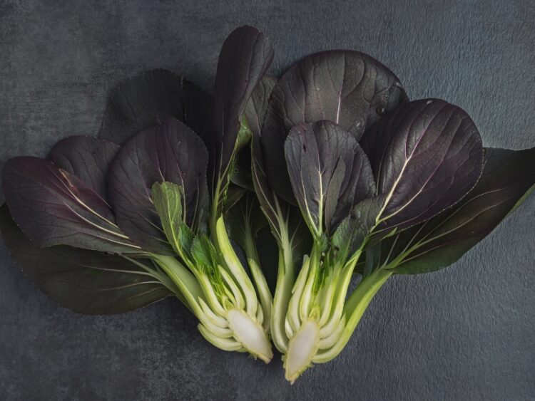 23 Pretty Purple Vegetables to Try - Insanely Good