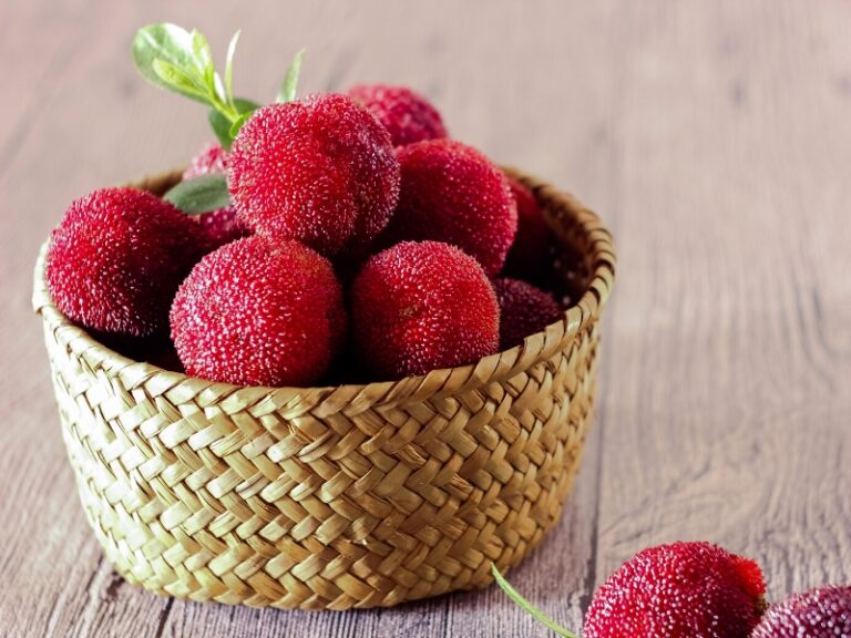 25 Pink Fruits (Different Types) - Insanely Good