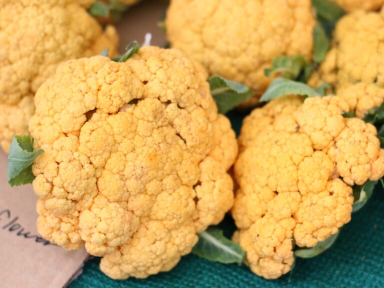 10 Yellow Vegetables to Add to Your Diet - Insanely Good
