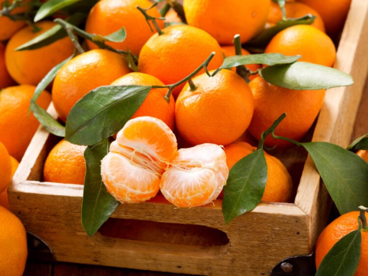 17 Different Orange Fruits You'll Love - Insanely Good