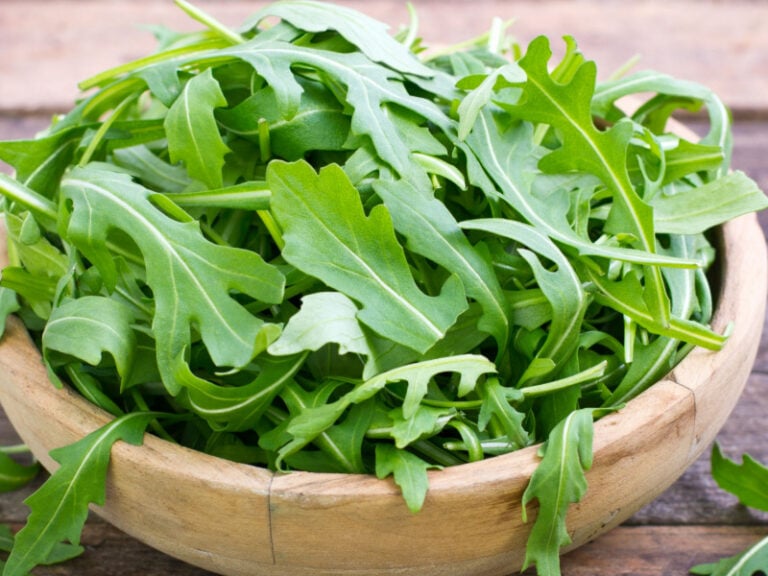 10 Substitutes for Basil (Best Options) - Insanely Good
