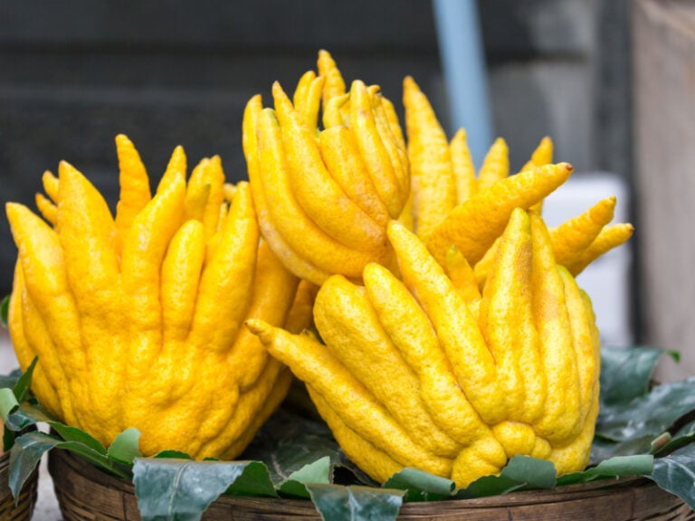 30 Popular Asian Fruits to Try - Insanely Good