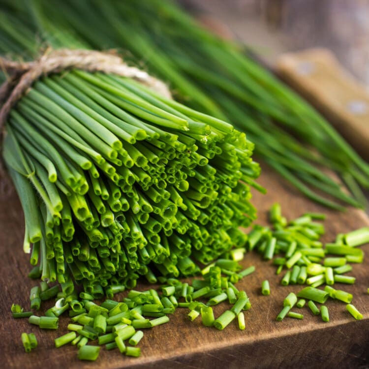 10 Best Substitutes for Garlic - Insanely Good