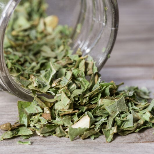 13 Substitutes for Oregano (Best Alternatives) - Insanely Good