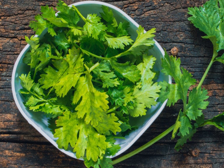 13 Substitutes for Parsley (Best Alternatives) - Insanely Good