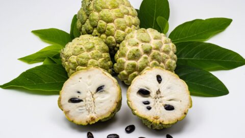 25 Best Filipino Fruits to Try Today - Insanely Good