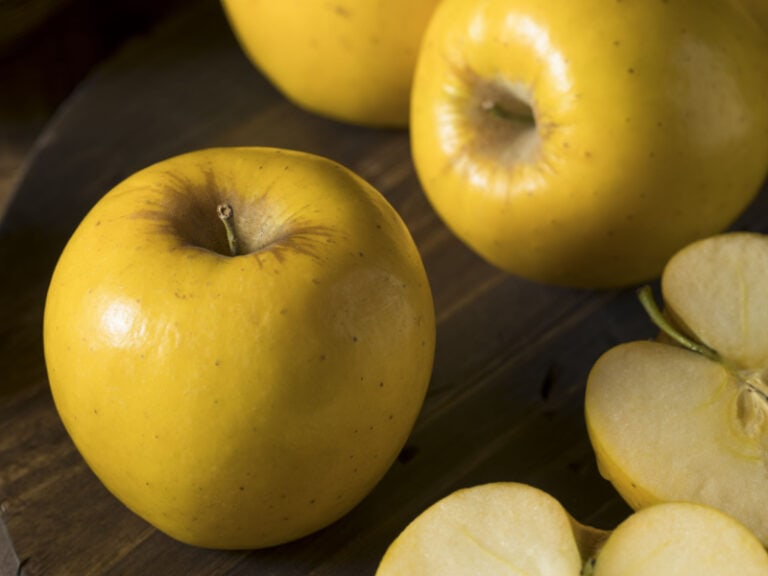 What Are the Sweetest Apples? (15 Types) - Insanely Good