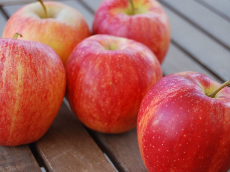 What Are the Sweetest Apples? (15 Types) - Insanely Good