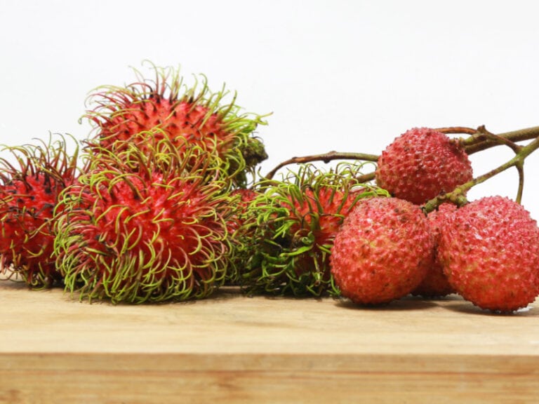 What Is Lychee Fruit? (+ What It Tastes Like) - Insanely Good