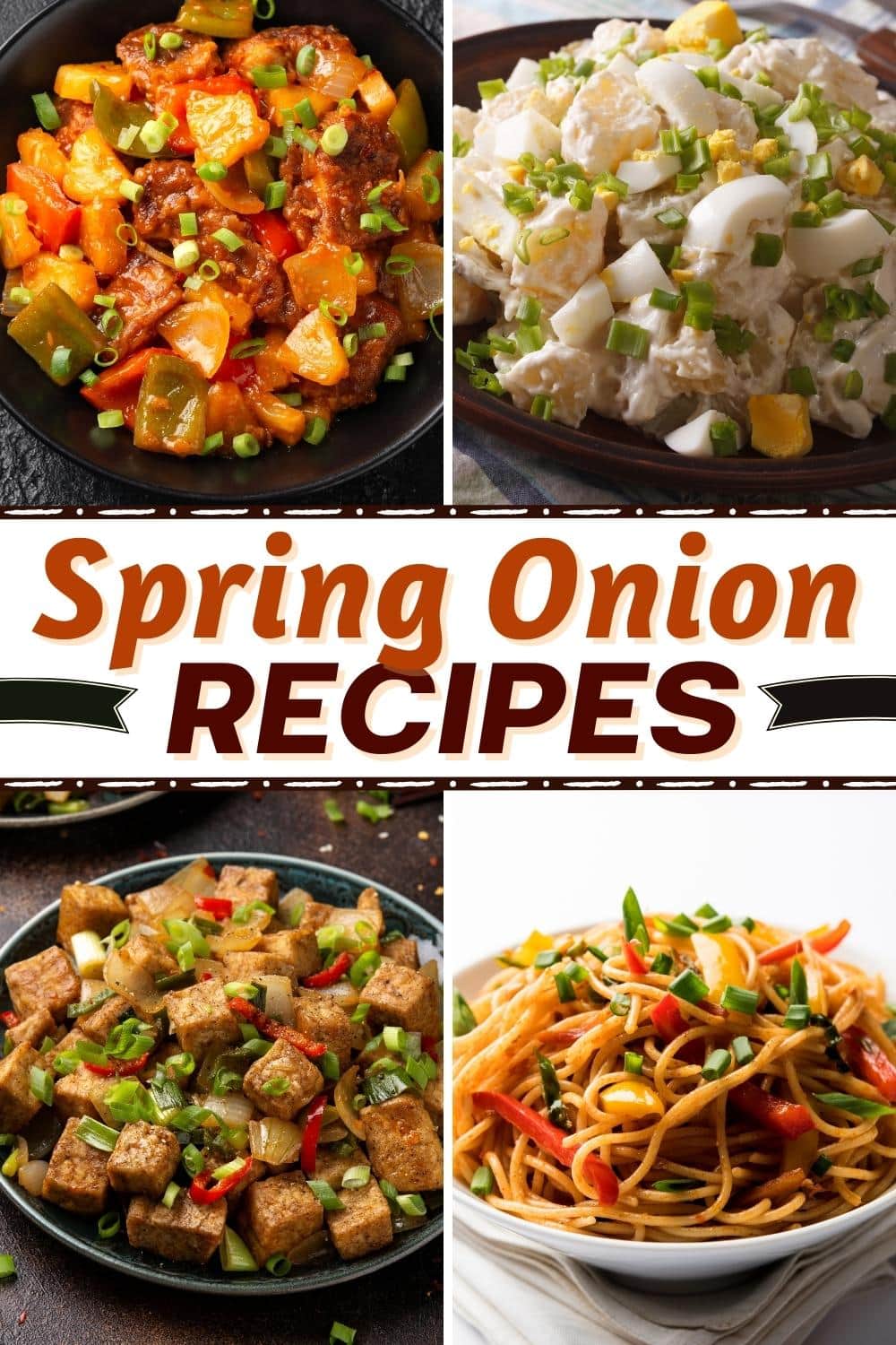 23 Easy Spring Onion Recipes - Insanely Good