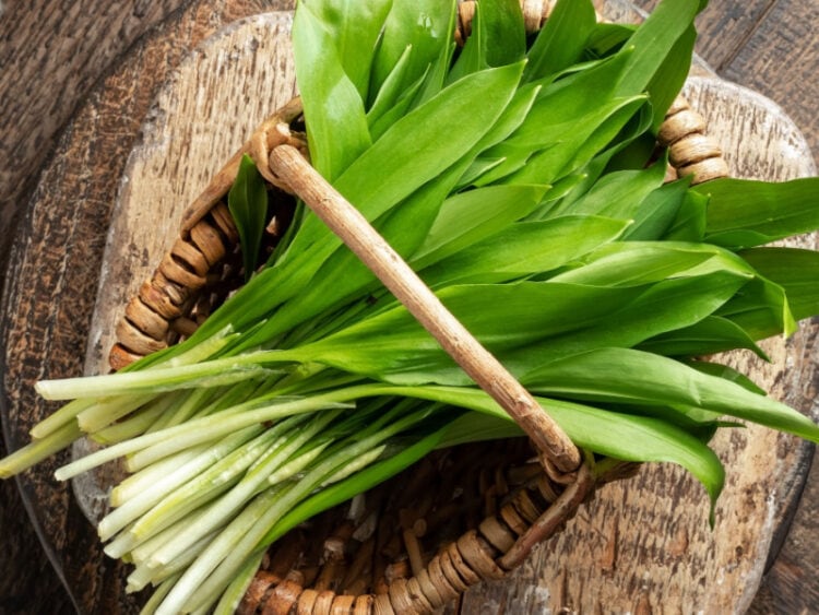 7 Substitutes for Chives (Best Alternatives) - Insanely Good