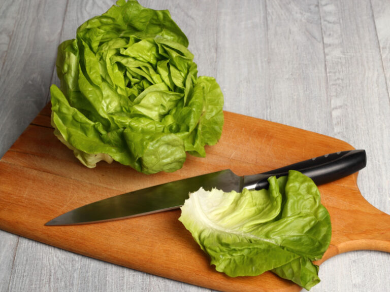 What Is Butter Lettuce? A Quick Guide - Insanely Good