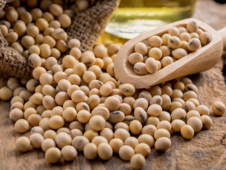 17 Popular Types of Beans (+ How to Use Them) - Insanely Good