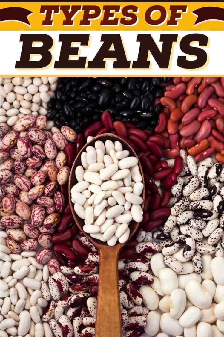 17 Popular Types of Beans (+ How to Use Them) - Insanely Good