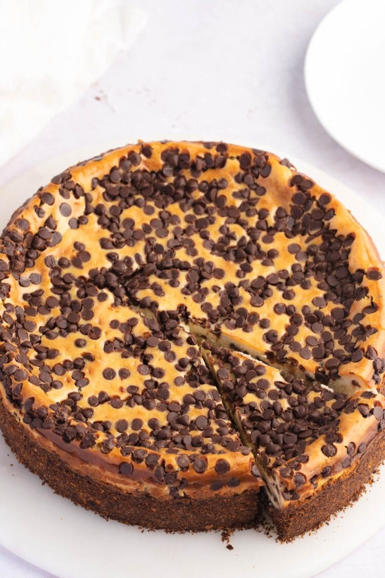 Easy Chocolate Chip Cheesecake Recipe - Insanely Good