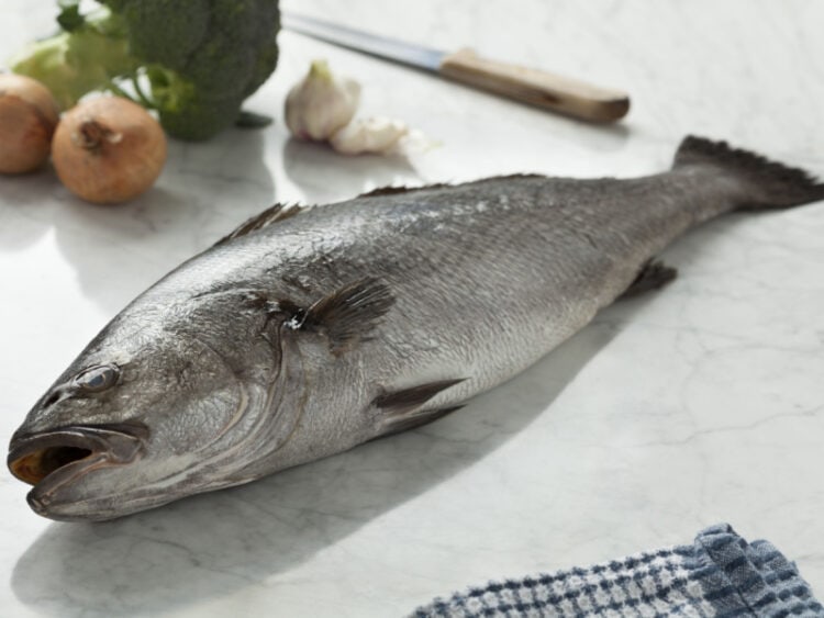 What Is Corvina? (+ What It Tastes Like) - Insanely Good