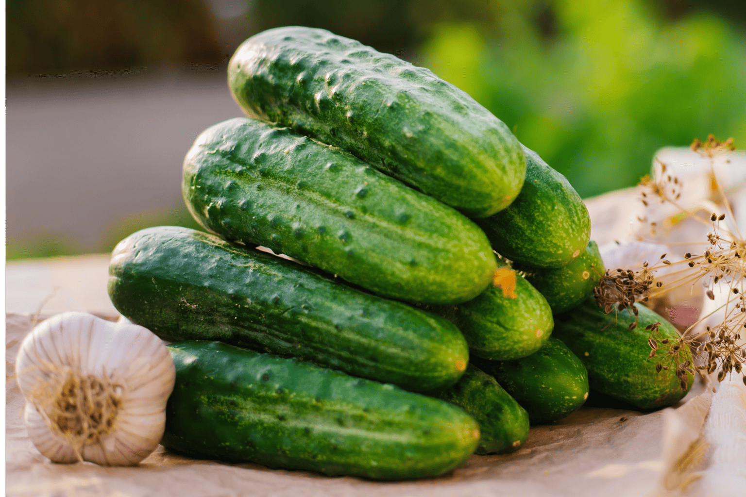 10 Different Types of Cucumbers - Insanely Good