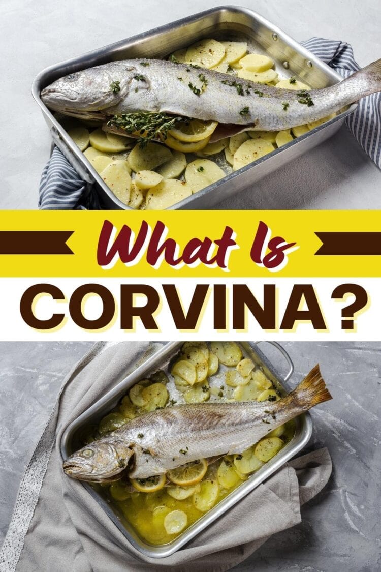 What Is Corvina? (+ What It Tastes Like) - Insanely Good