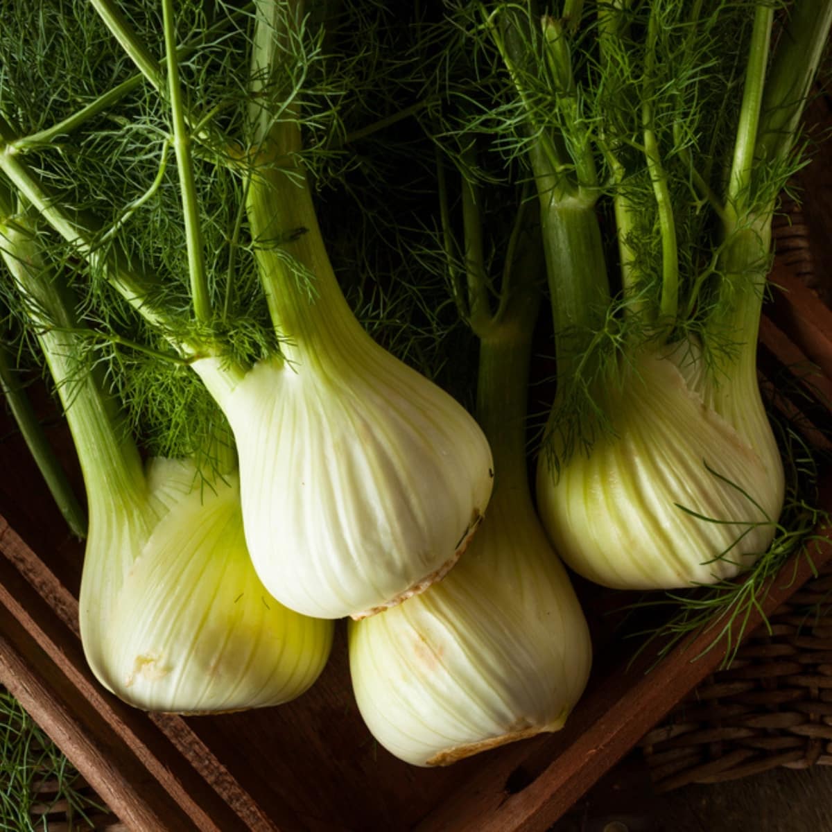 10 Best Onion Powder Substitutes - Insanely Good