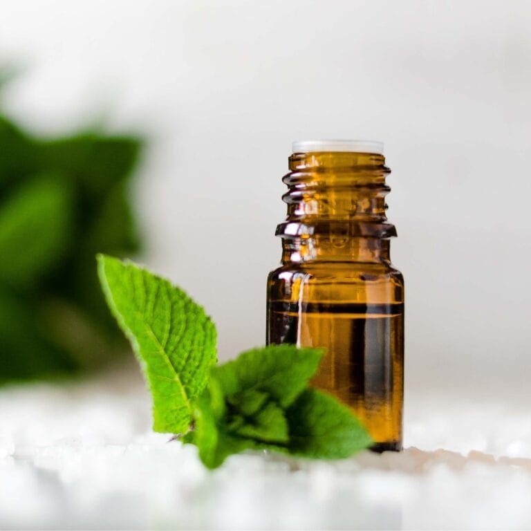 10 Best Peppermint Extract Substitutes - Insanely Good