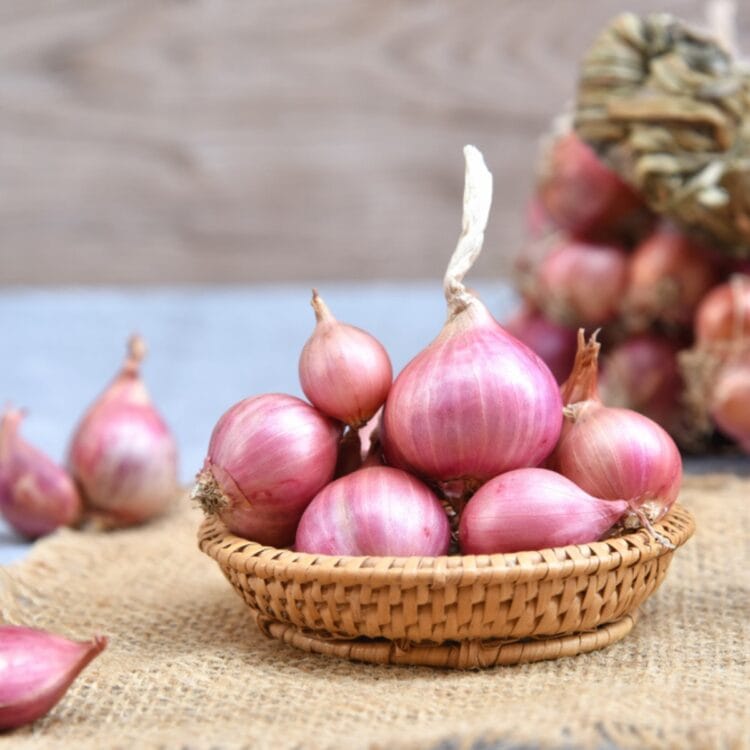 10 Best Onion Powder Substitutes - Insanely Good