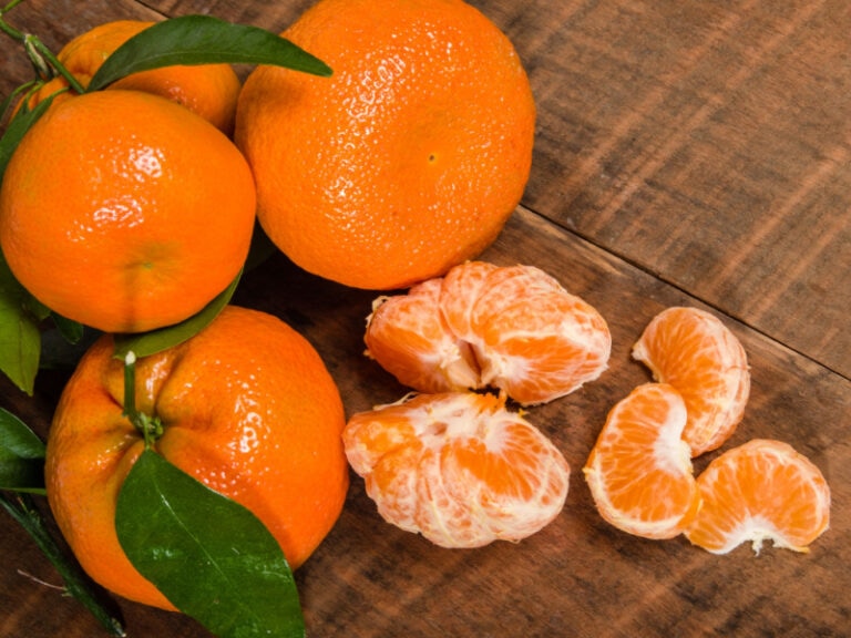 What Are Tangelos? (All You Need To Know) - Insanely Good